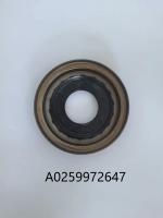 China Crankshaft oil seal oe A0259972647  For Benz  210  209 166 for sale