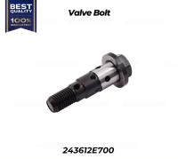 China Valve Bolt  #243612E700   for Hyundai Elantra Kona Kia Forte for sale