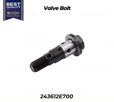 China Valve Bolt  #243612E700   for Hyundai Elantra Kona Kia Forte for sale