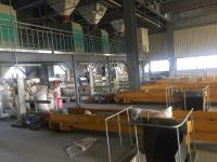China Dual Hopper Weighing Urea Packing Machine Fertilizer Bagger With CE Approval for sale