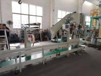 China 220V 380V Voltage Auto Bagging Machine with ±0.2%FS Precision and 10-20Kg/bag Filling Weight for sale