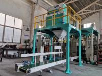 China 220V-380V Voltage Auto Bagging Machine with Adjustable Operating Speed for Flexible Manufacturing for sale