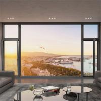 China Triplex Glass Standard Optional Colour French Window Aluminum Casement Glass Windows for sale