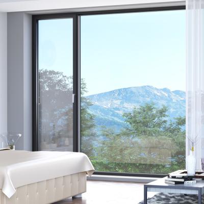 China Modern Design Double Glass Window Aluminum Profiles with and Water Tightness Level 6 for sale