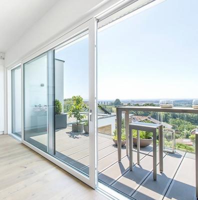 China North American Market Sliding Doors With Thermal Break And Stainless Steel Screen Netting for sale
