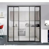 China Minimalist Design Double Sliding Door SKATE's Solution for Office and Residential Spaces for sale