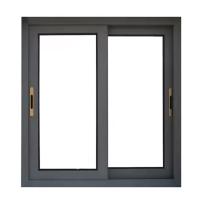 China High Durability Aluminum Sliding Windows For Skate Project Open Style Original Design for sale