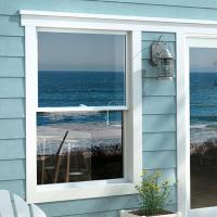 China Vertical Sliding Tempered Glass Double Hung Windows With Stainless Steel Screen Netting for sale