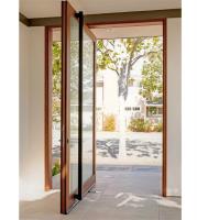 China Effortless Opening And Enhanced Security Pivot Doors For Residential Or Commercial Space for sale
