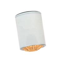 China M24x1.5 Oil Water Separator Fuel Filter Element 600-311-4120 FS19805 for Excavator for sale