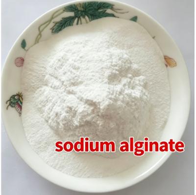 China Seaweed Food Grade Sodium Alginate Copolymer For Cheese Hamburger for sale