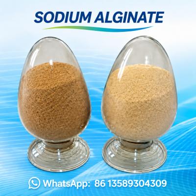China Textile Printing Grade Sodium Alginate with Low Dye Reaction, Good Pseudoplasticity, and Easy Desizing for Reactive Dye Printing for sale