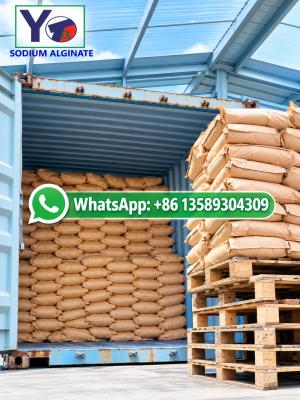 China Organic High Purity Food Grade Sodium Alginate Powder with Excellent Gelling for Edible Gel & Dairy Products for sale