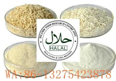 China High Strong Gel Food Grade Sodium Alginate Powder with 30-200 Mesh for Pharmaceutical and Food Industries for sale
