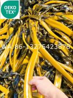 China High Viscosity Sodium Alginate Textile Additive from Natural Seaweed Extract for Textile Printing Thickener for sale