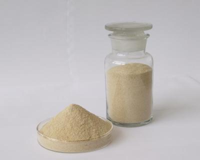 China Industrial Sodium Kelp Alginate Algin Acid Powder For Thickening And Rheology Control for sale