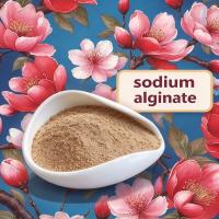 China High Viscosity Sodium Alginate Textile Printing Thickener Natural Seaweed Source Direct From Manufacturer for sale