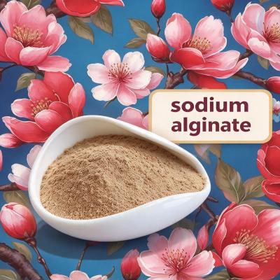 China High Viscosity Sodium Alginate Textile Printing Thickener Natural Seaweed Source Direct From Manufacturer for sale