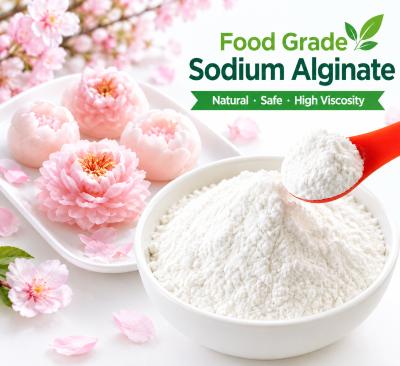 China Natural Seaweed Extract Sodium Alginate Powder Alginic Acid Salt From Brown Algae for sale