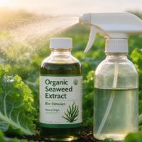 China Enzymatic Kelp Brown Seaweed Extract Sodium Alginate Thickener Liquid Biostimulant With 18% Alginic Acid for sale
