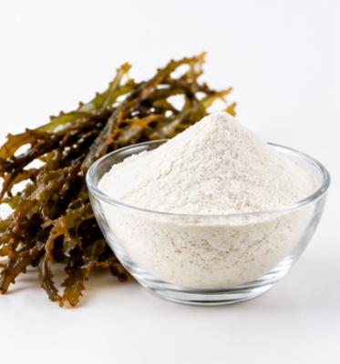 China Sodium Alginate Stabilizer Powder Synthetic Thickener For Textile Printing OEM for sale