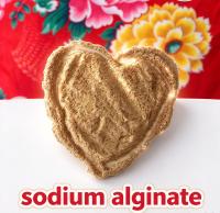 China High Viscosity Algin Sodium Alginate Powder Reactive Tie Dye Printing Thickener for sale