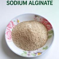 China High Viscosity Sodium algae Alginate Polymerization Reactive Dye Thickener for sale