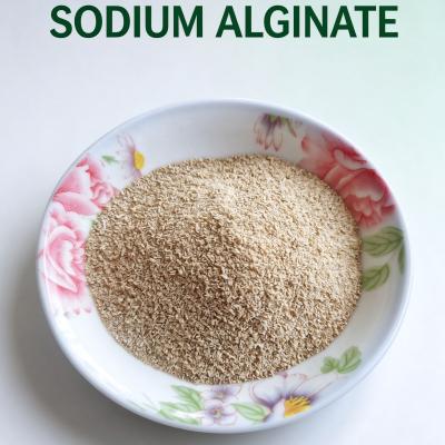 China High Viscosity Sodium algae Alginate Polymerization Reactive Dye Thickener for sale