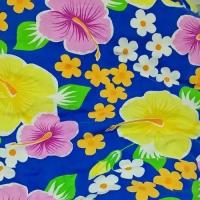 China OEM Algin Sodium Alginate Powder Tie Dye Reactive Thickener Natural Seaweed Extract for sale