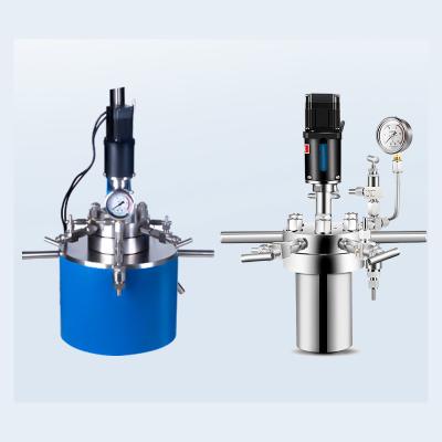 China Lifting Stainless Steel High Pressure Reactor BXT-3L 5L 10L 20L 50L for sale