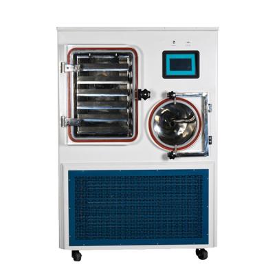 China Vacuum Silicone Oil Heating Freeze Drying Machine Laboratory Freeze-drying Machine for sale