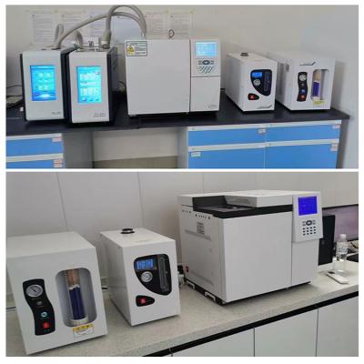 China Configuration Scheme Lab Testing Equipment for Component Detection of Mine Gas , Gas Chromatograph for sale