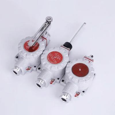 China ATEX Explosion-Proof Travel Switch 220V/380V 10A Roller Column Drive Arm for sale