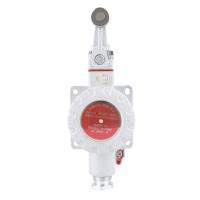 China ATEX Explosion Proof Limit Switch 220V 380V 10A DLXK Model for sale