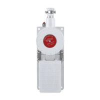 China Customizable Single Pedal Travel Switch For Industry Factory Workshop Explosion-proof Limit Switch for sale