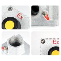 China ATEX Explosion Proof Control Button with Signal Light WF1 Grade for sale