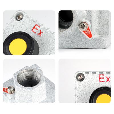 China ATEX Explosion Proof Control Button with Signal Light WF1 Grade for sale