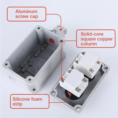 China Explosion Proof Control Button IIC Aluminium Alloy WF1 Corrosion Resistant for sale