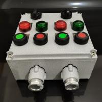 China Explosion-Proof Two-Button Operation Box Anti-Corrosive Power Distribution Equipment with Two Indicators for sale