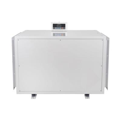 China Adjustable from 10% to 95% humidity, wall-mounted dehumidifier, sturdy and durable, 220 volt voltage, brand new dehumidifier for sale
