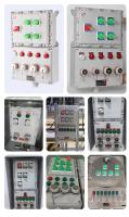 China Explosion-Proof Electrical Distribution Box for Power Control and Lighting for sale
