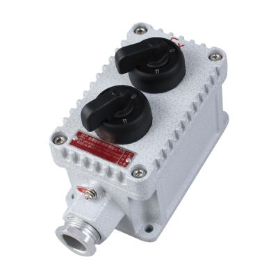 China Exde IICT6 Gb Certified Explosion-proof Control Station BXT Series for Hazardous Areas for sale