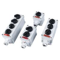 China BXT-4H Explosion-proof Combination Switch Box Fire Alarm control button for sale
