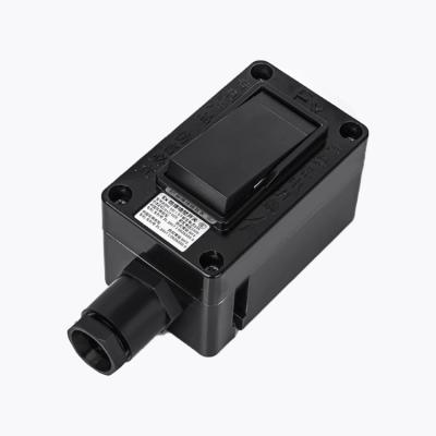 China Ex Proof Switch SW10 for Petrochemical Plant AC220V Transportation Gas Stations european wall switches for sale
