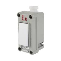 China BAXIT Explosion Proof Rotary Switch for Zone1 Zone2 Zone21 Zone22 light switch wall america wall switch eu for sale