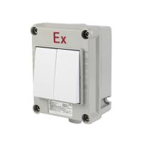 China IP66 SW-10 Hazardous Location Water Proof On-off Light Switch Explosion Proof Switch for sale