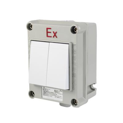 China IP66 SW-10 Hazardous Location Water Proof On-off Light Switch Explosion Proof Switch for sale