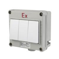 China SW Series IP66 Explosion-proof Aluminum Alloy Lighting Switches uk standard wall switches for sale