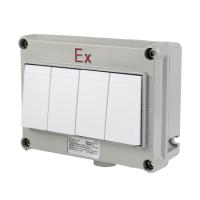 China ATEX wall light switch Explosion-proof and anti-corrosion wall switch wall touch switch for sale