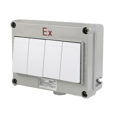 China ATEX wall light switch Explosion-proof and anti-corrosion wall switch wall touch switch for sale
